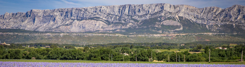 Découvrez l’agence SOM Sud - Ortec Group