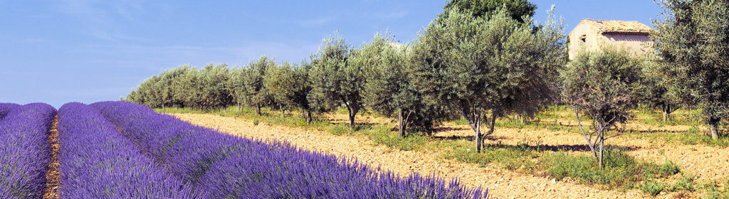 Discover SOM Ligeron Saint-Paul-lez-Durance - Ortec Group